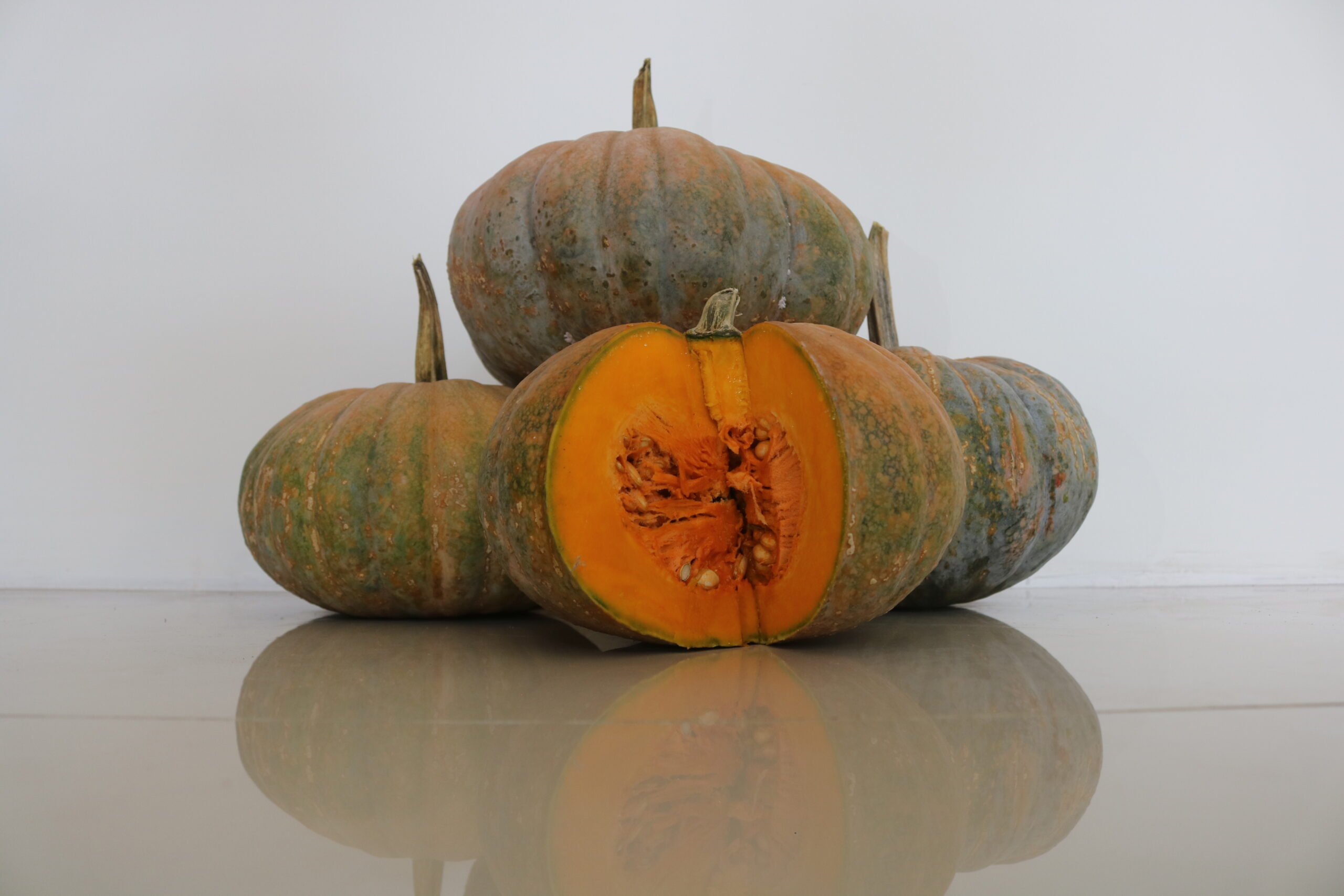 Pumpkin 50 biji | Labu hijau — PT. Indoseed Agri Makmur — Menjual semua ...
