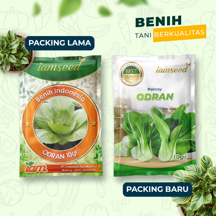 Odran 10gr | Pakcoy — PT. Indoseed Agri Makmur — Menjual semua jenis ...