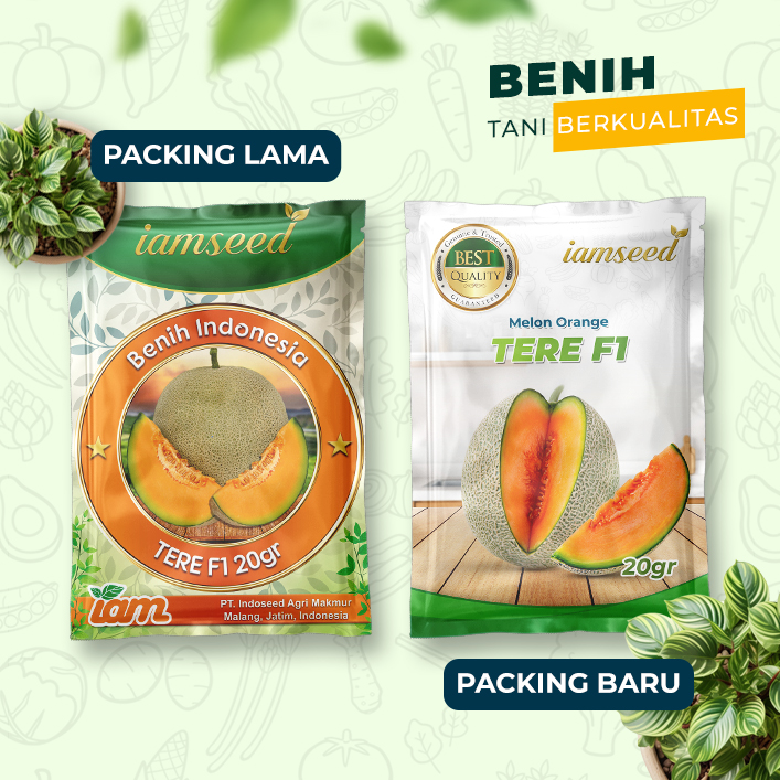 Tere F1 20gr | Melon orange type net tipis — PT. Indoseed Agri Makmur ...
